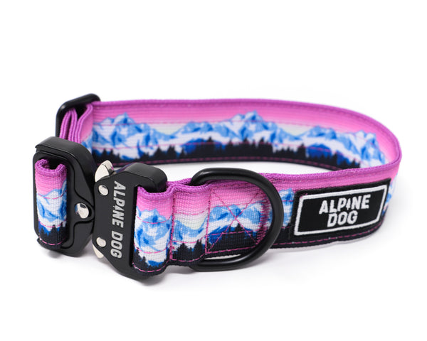Alpine 1.5" Collar – Alpine Dog